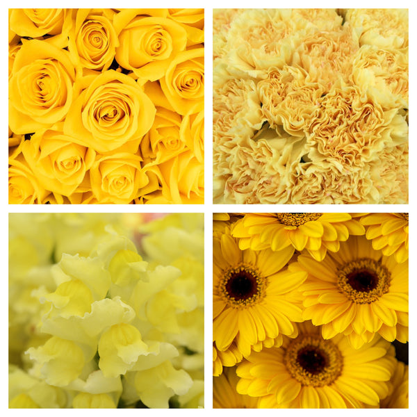 Shades of Yellow Bulk Bundle – Bunches Direct Canada